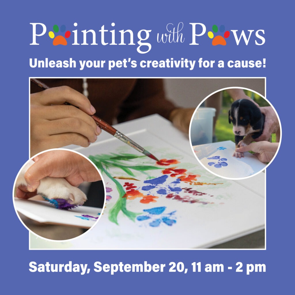 Painting with Paws | Northville Art House