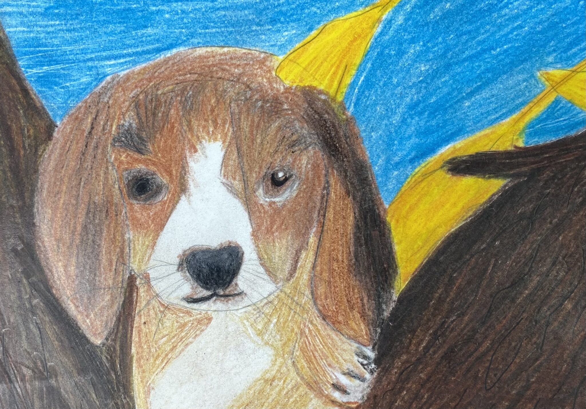 Youth Classes & Workshops, Ages 5 – 16 | Northville Art House